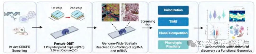 从DBiT-seq到表观组学：樊荣团队多篇顶刊，空间多组学技术如何步步封神？ - 知乎