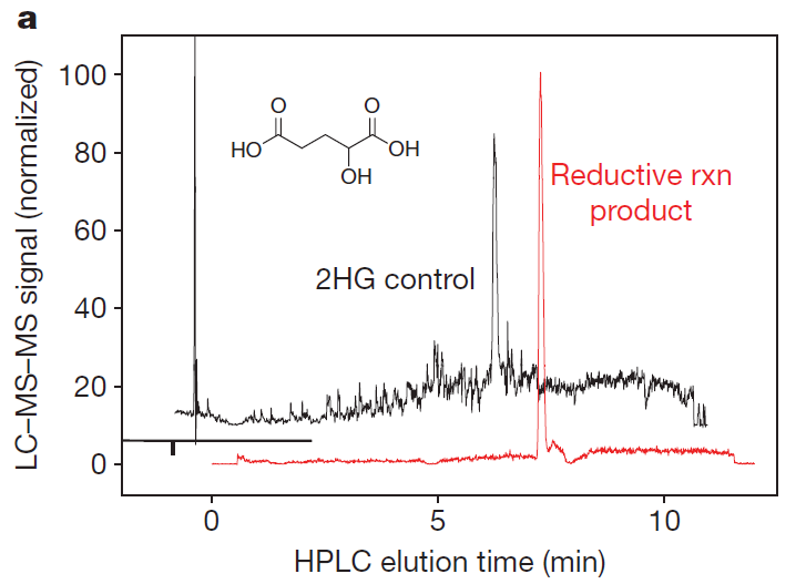 经典重读丨Nature肿瘤中IDH1突变和2-HG - 知乎