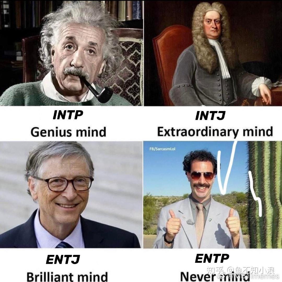 MBTI系列13--辩论家ENTP：与尔同销万古愁 - 知乎