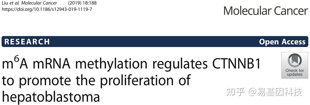 易基因：m6A mRNA甲基化修饰调控CTNNB1促进肝母细胞瘤增殖的机制研究｜Mol Cancer - 深圳市易基因科技 - 博客园