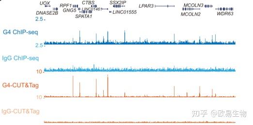 一文带你解锁新技术—CUT&Tag技术 - 知乎