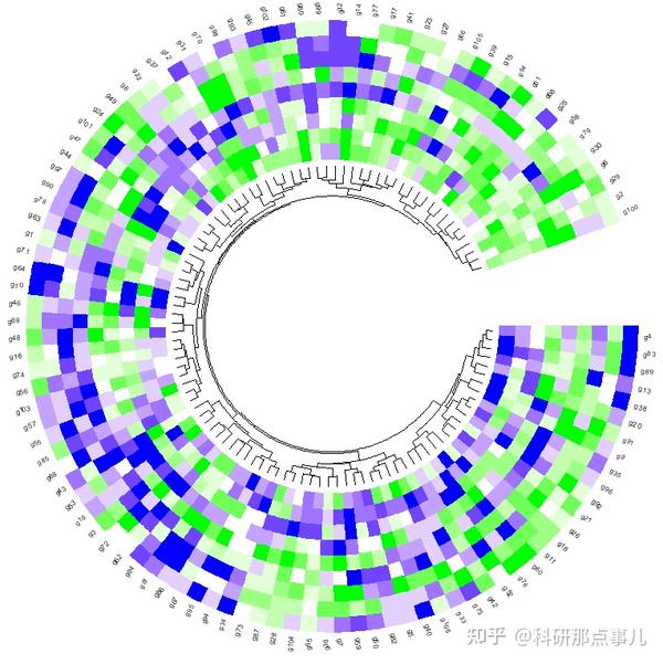 R可视化——环形热图 - 知乎