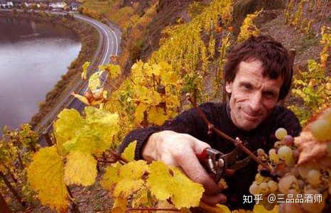 三品红酒｜探秘德国葡萄酒的分级制度 - 知乎