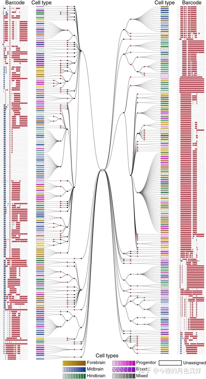 每天一篇单细胞30-单细胞结合lineage tracing--scGESTALT - 知乎