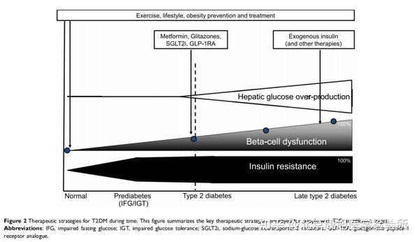 【文献阅读】T2D的个性化管理：最新进展和建议（一） - 知乎