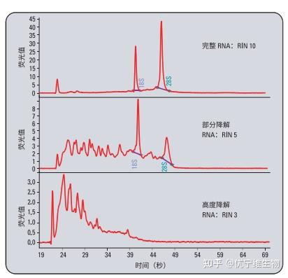六大问带你看懂 RNA 质控金标准-RNA 完整值 (RIN) - 知乎