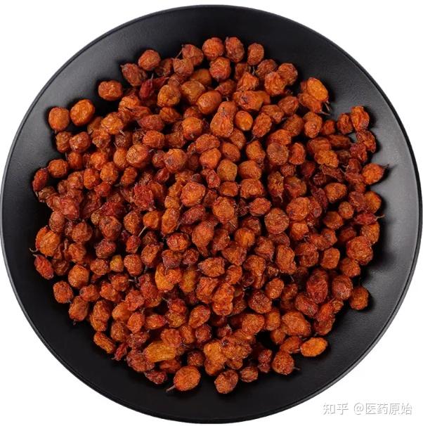 带你识别沙棘 - 知乎