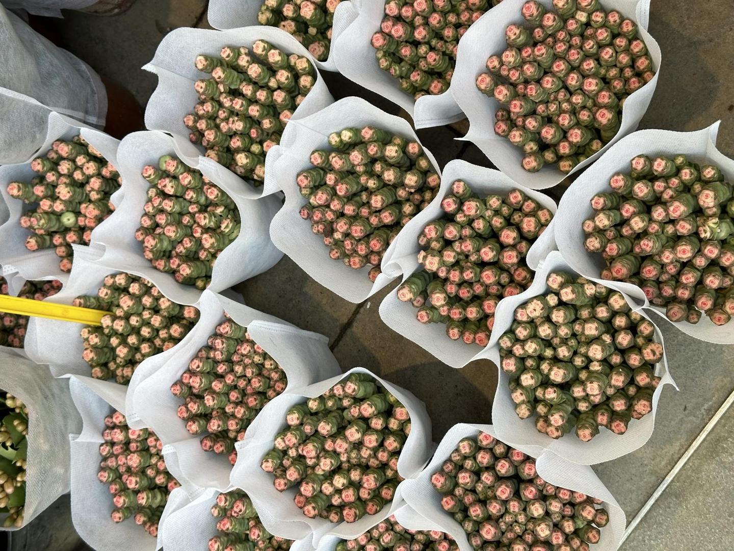 松典DC226为何被称为“小白友好神器” - 知乎