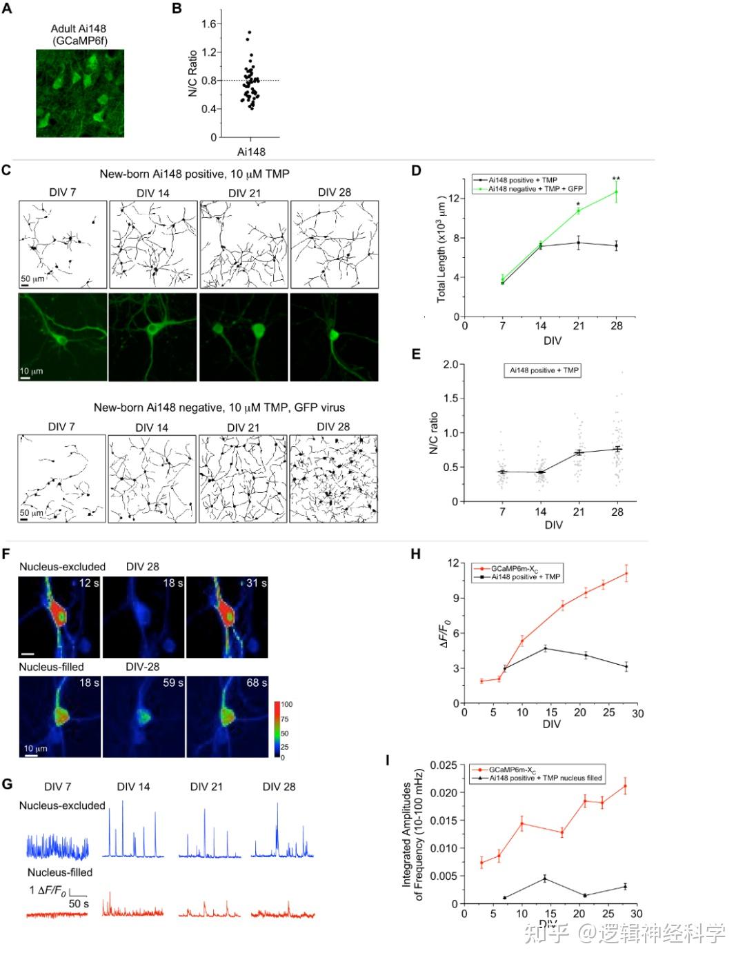 eLife︱刘晓冬/郭增才/樊瑜波-杨亚雄团队利用GCaMP-X实现神经元长时程钙成像 - 知乎