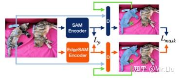 分割基础大模型SAM轻量化 - 知乎