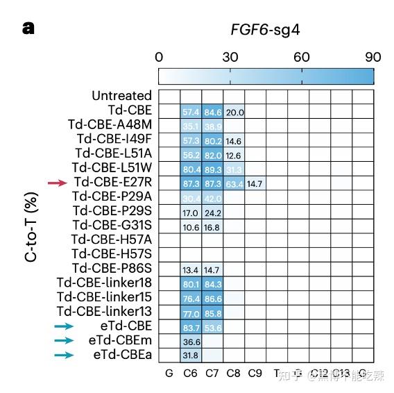 基于TadA-8e的CBE工具开发 - 知乎