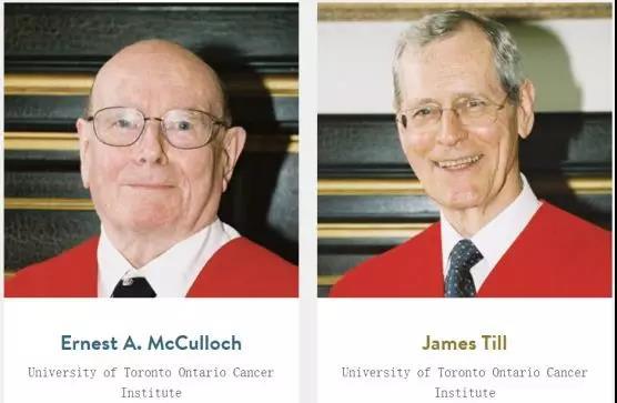 被遗忘的干细胞研究先驱丨致敬Ernest McCulloch和James Edgar Till - 知乎