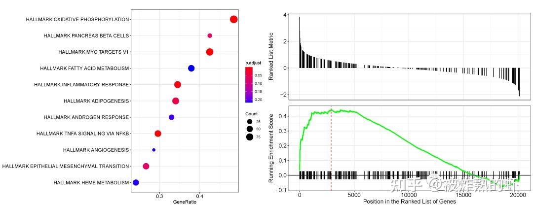 基因集富集分析（GSEA）基础 - 知乎