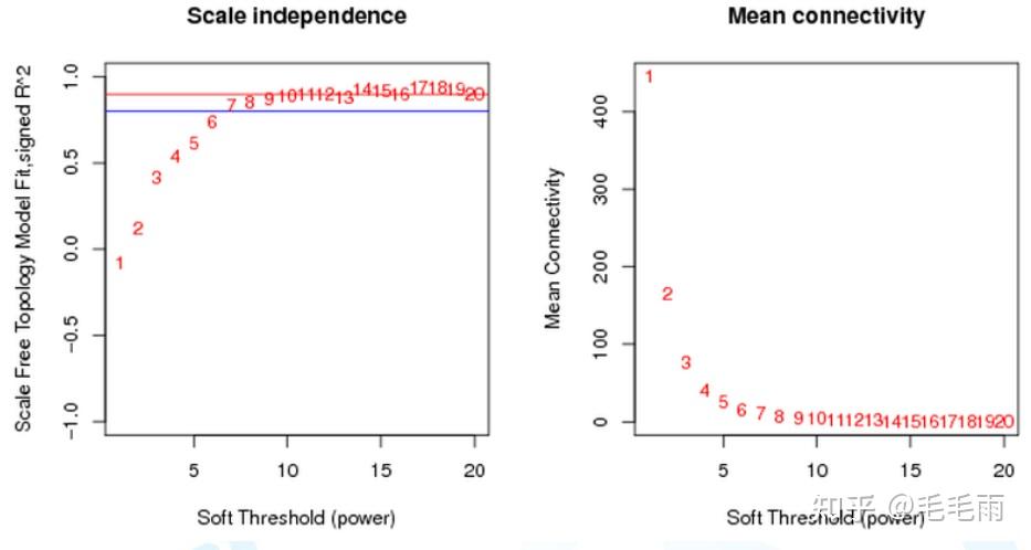 阿伟的WGCNA分析手册（一） - 知乎