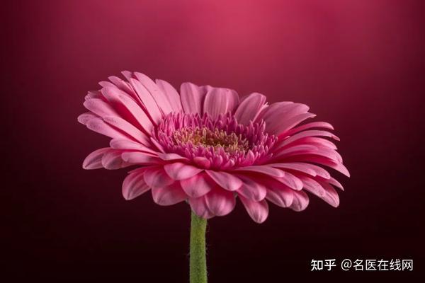 肛门千万不要这样玩!「寻求刺激」将付出沉重代价(不止是社死) 知乎
