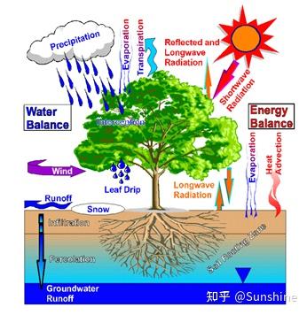 Noah-MP陆面过程模型建模方法与站点、区域模拟 - 知乎