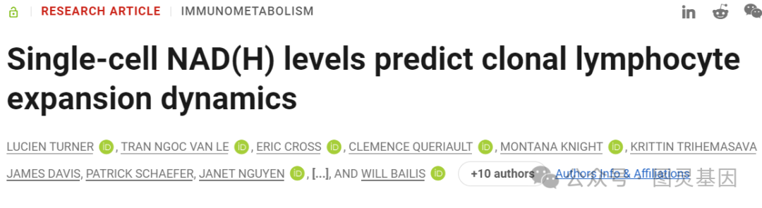 Sci Immu | 单细胞NAD(H)水平预测克隆淋巴细胞扩增动力学 - 知乎