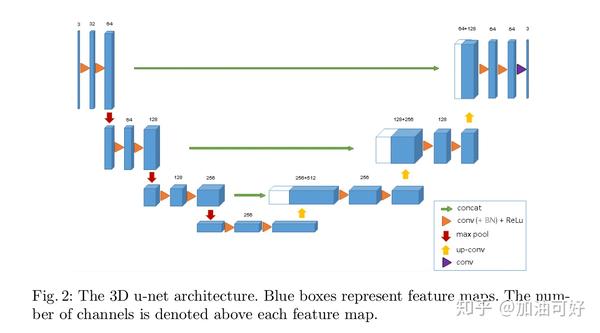 3D U-Net 论文笔记 - 知乎