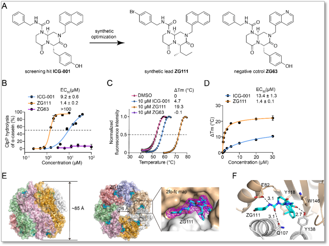 Cell Chem Bio︱中国科学院上海药物研究所杨财广课题组发现线粒体ClpP激动剂抗胰腺癌 - 知乎