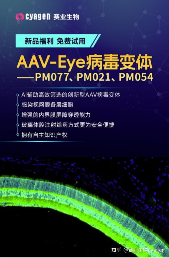 免费试用！AAV-Eye病毒变体高效感染视网膜各层细胞，5大优势直击研发痛点 - 知乎