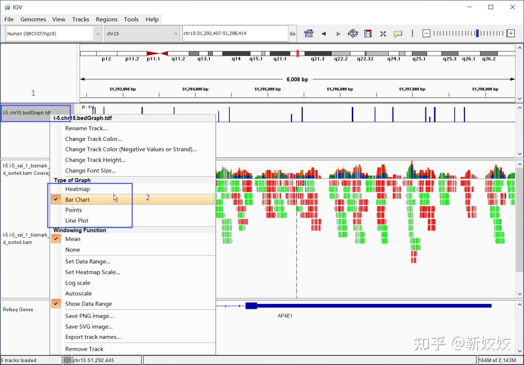 IGV快速上手指南（五）——查看甲基化数据 - 知乎