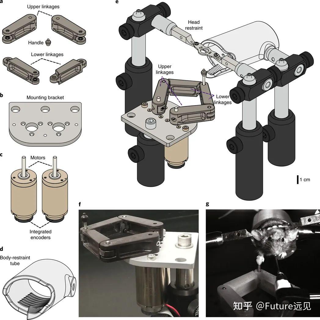 骆利群院士最新Science综述：神经环路架构，激发新的AI | 2018年-2021年科研成果盘点 - 知乎