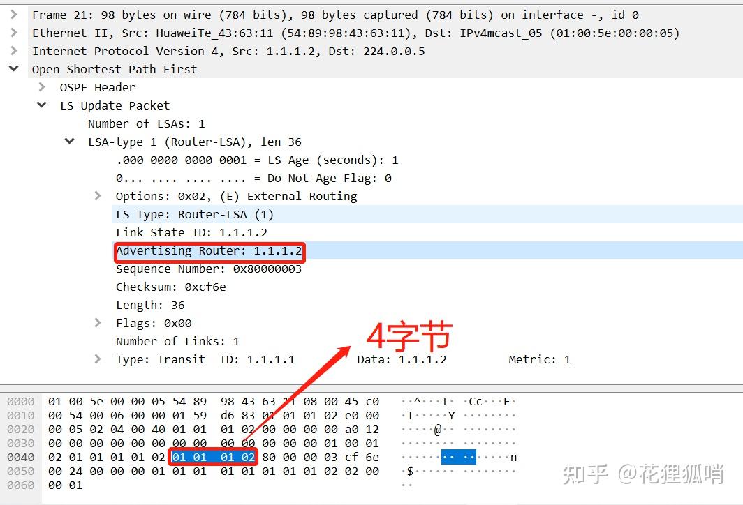OSPF LSA报文格式总结 - 知乎