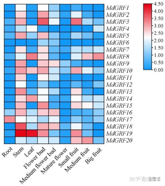 基因家族详解-GRF基因家族的全基因组鉴定和特征分析 - 知乎