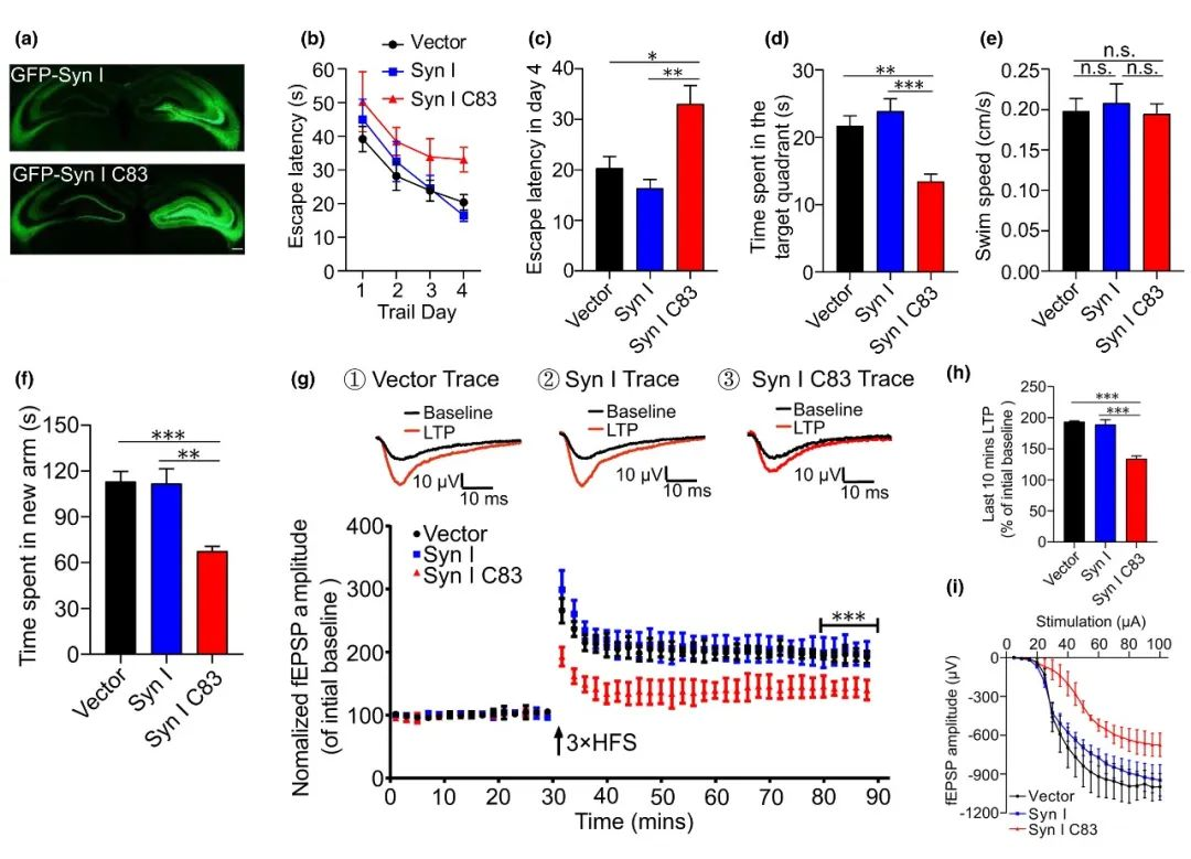 IF=11.005【客户文章】Aging Cell：武汉大学人民医院张振涛教授团队揭示阿尔茨海默病突触功能障碍分子机制 - 知乎