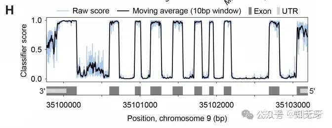 Evo2：跨生命领域的基因组“造物主”模型 - 知乎