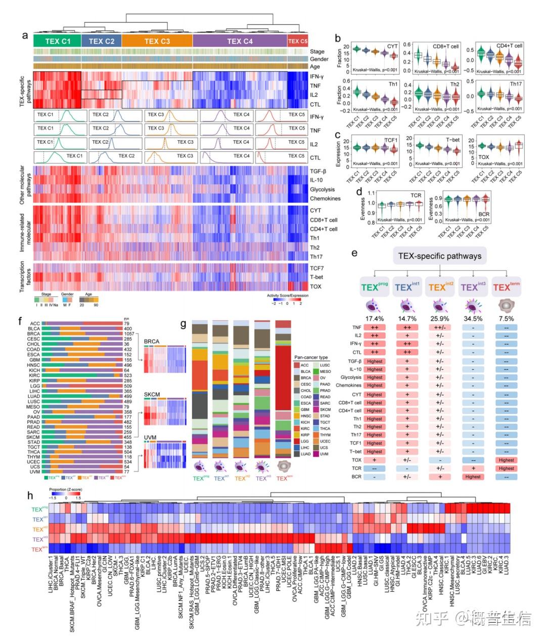 大家都关注的T细胞耗竭如何做生信分析？ - 知乎