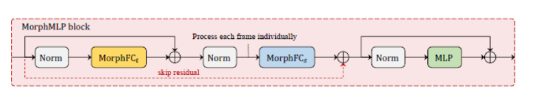 美图公司联合开发首个类似MLP架构的视频学习模型MorphMLP，精度更高的同时计算量最高可节省50% - 知乎