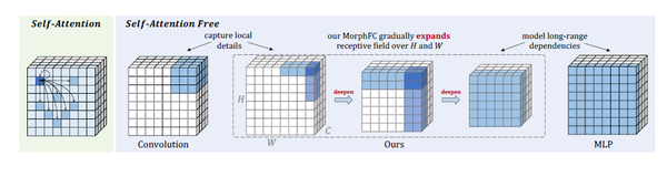 美图公司联合开发首个类似MLP架构的视频学习模型MorphMLP，精度更高的同时计算量最高可节省50% - 知乎