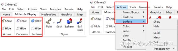 超实用！用ChimeraX对AlphaFold 结果可视化（中）: 蛋白结构美化篇 - 知乎
