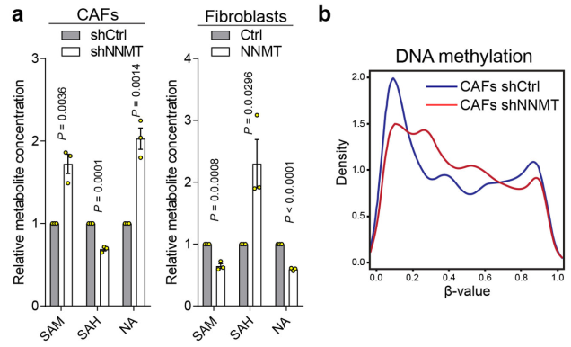 文献解读 | Nature 空间蛋白揭示NNMT是癌症相关成纤维细胞的主要代谢调节因子 - 知乎