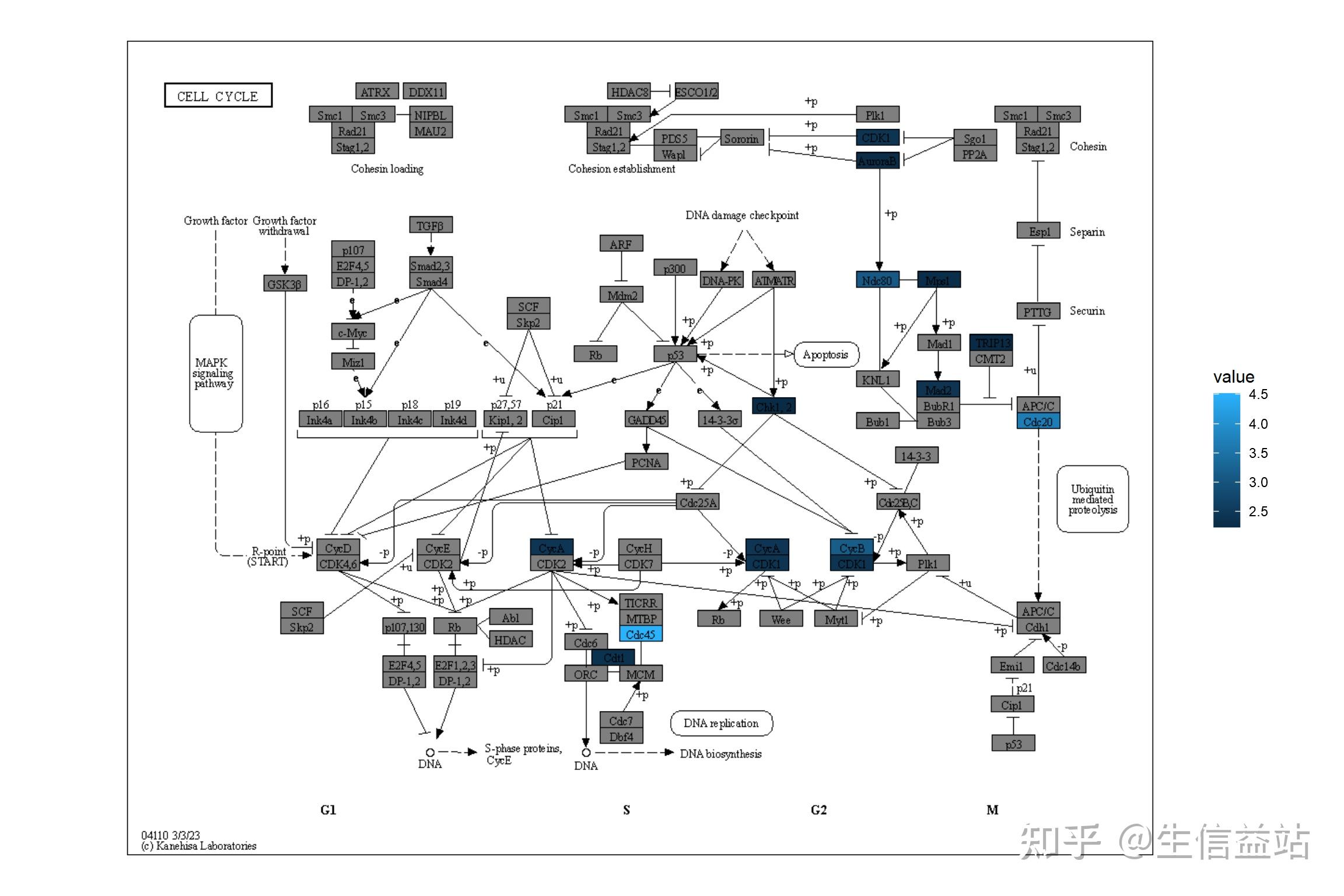 玩转KEGG (三)——遥遥领先pathview！ ggkegg可视化KEGG通路、模块与网络 - 知乎