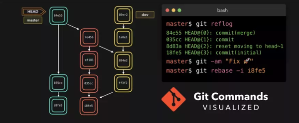 工作流一目了然，看小姐姐用动图展示10大Git命令 - 知乎