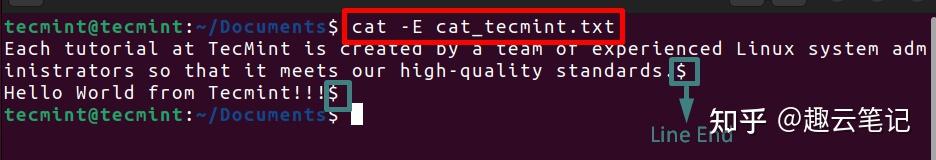 如何在Linux系统中使用Cat命令 [22个典型示例] - 知乎