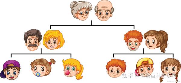 家庭称谓形成了传统的亲族传承，主要都有哪些呢？ - 知乎