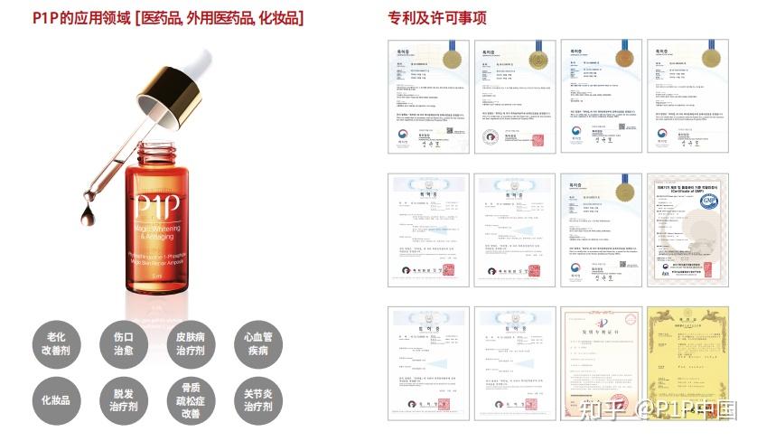 修复界扛把子！P1P到底是什么？ - 知乎