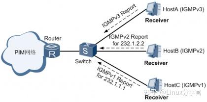 Linux网络协议栈-组播IGMP Snooping(理论知识详解) - 知乎