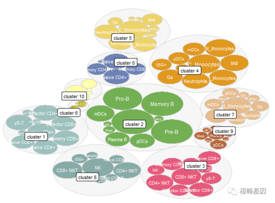 SCS【33】单细胞转录之全自动超快速的细胞类型鉴定 (ScType) - 知乎