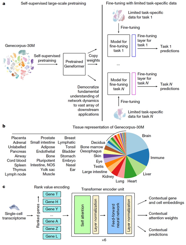 Nature | 迁移学习为网络生物学赋能 - 知乎