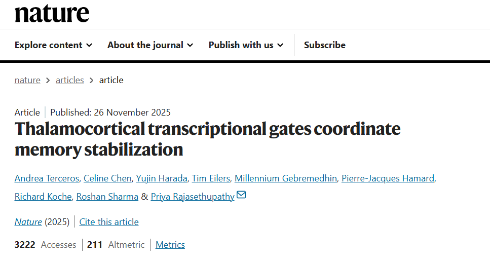 为什么有些记忆能伴随一生，而有些记忆却会迅速消逝？ - 知乎