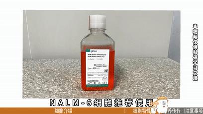 NALM-6细胞培养，人急性淋巴细胞白血病细胞培养攻略 - 丰晖生物 - 知乎