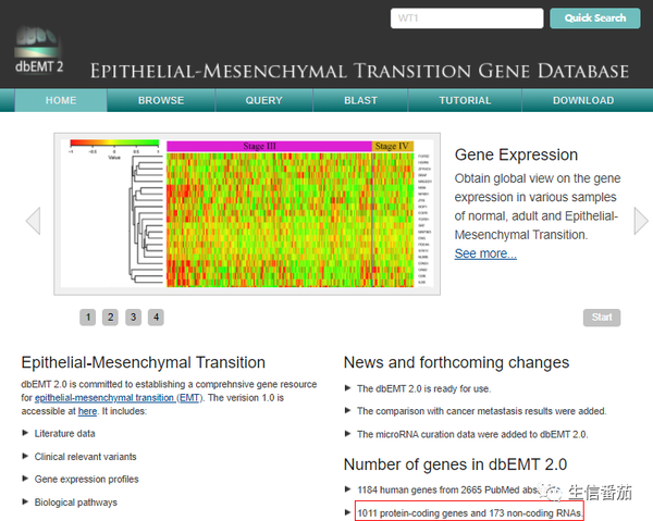 一文告诉你上皮间充质转化（EMT）相关的生信思路有哪些？另附EMT相关基因数据库使用教程！助力你的生信分析~ - 知乎