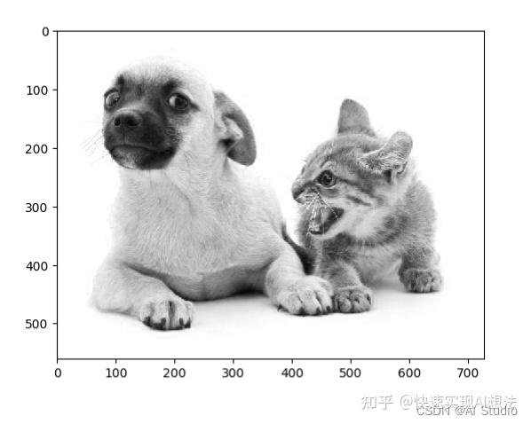 【ECCV 2022】Wave-ViT：统一小波和ViT的视觉表示学习 - 知乎