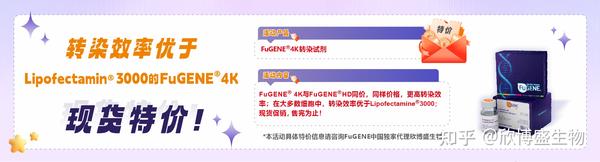 Lipofectamin® 3000与FuGENE® 4K转染效率谁更优？ - 知乎