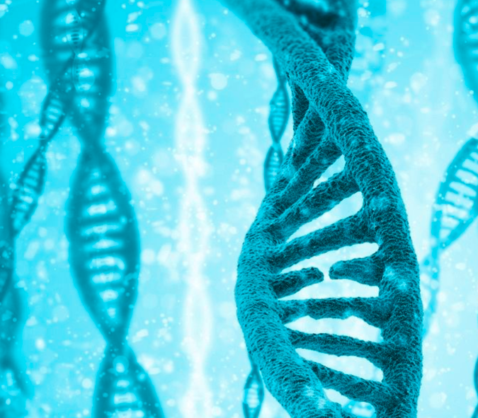 生物信息遇上Deep learning(1): DeepVariant-谷歌图像编码做DNA异常检测 - 知乎