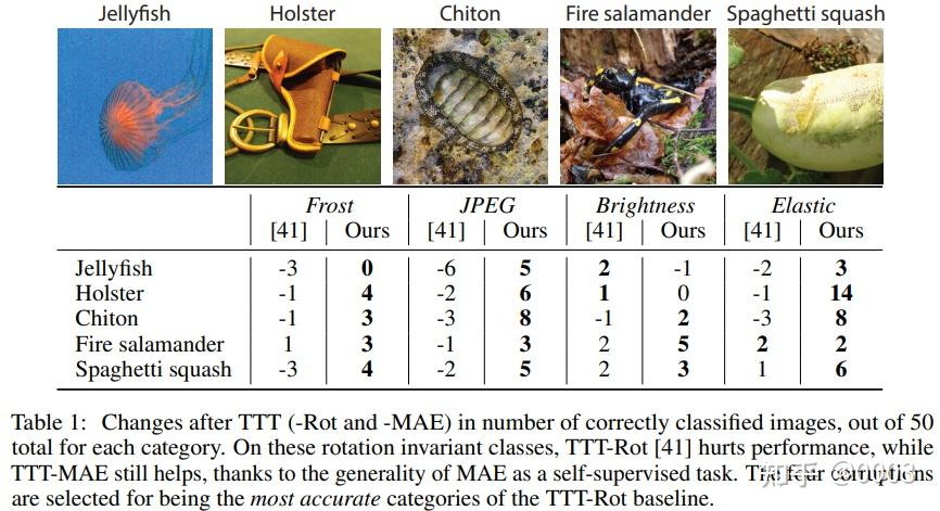【论文阅读】TTT+MAE：Test-Time Training with Masked Autoencoders - 知乎
